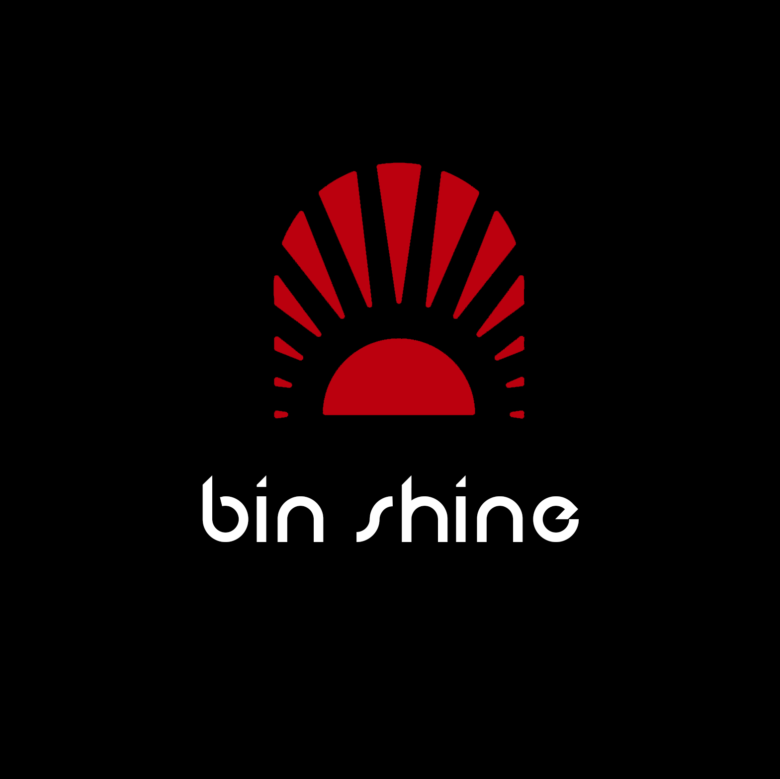 Gallery | Bin Cleaning Covering Northern Ireland | Bin Shine